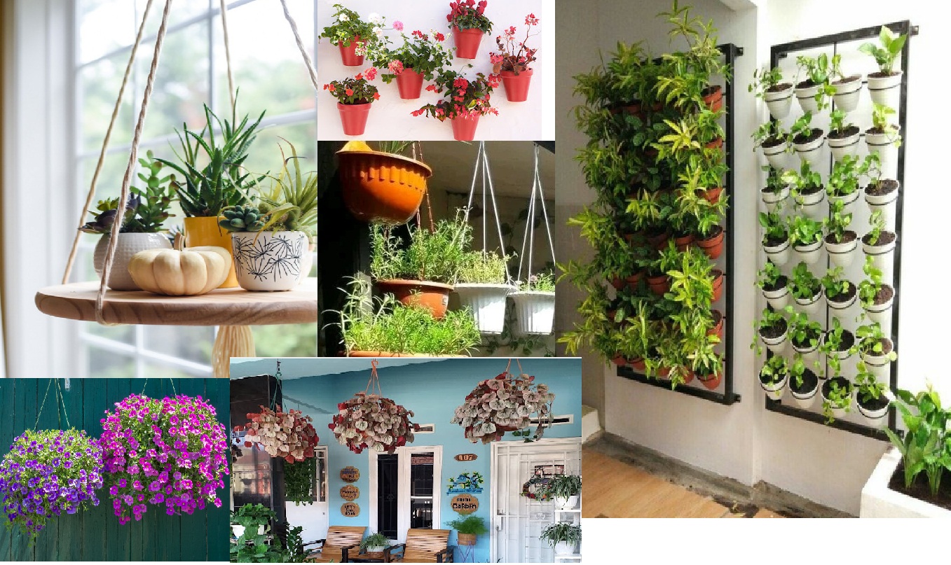 Inspirasi 8 Cara Menata Bunga Gantung di Teras Rumah Sederhana, Cantik ...