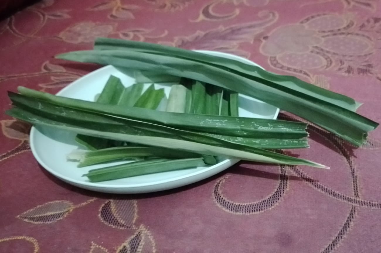 WAJIB TAHU! Daun Pandan Bukan Hanya untuk Masak, Ternyata Punya Manfaat ...
