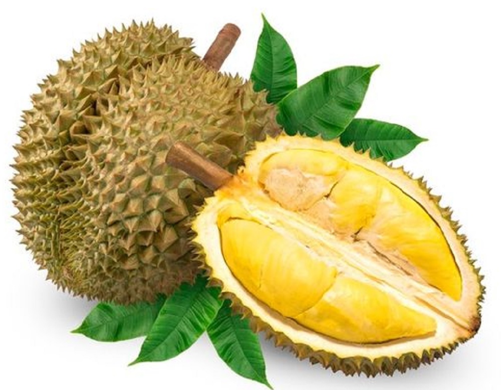 Jarang Diketahui, Inilah 5 Manfaat Buah Durian Bagi Kesehatan Tubuh – Radar Cirebon ID