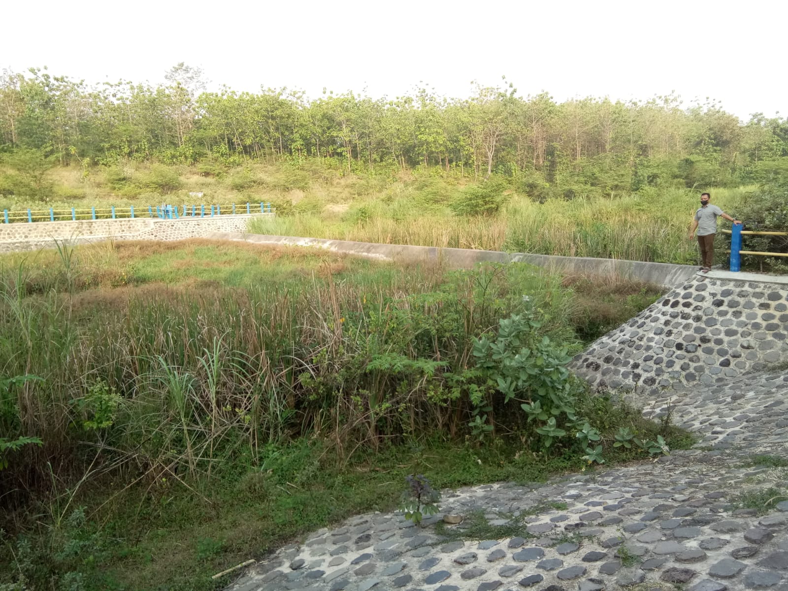 Embung Sumurkondang Cirebon, Proyek Senilai Rp8 Miliar yang Hanya Jadi ...