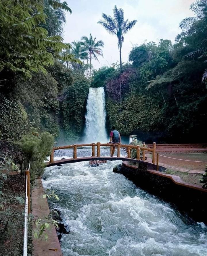 5 Daya Tarik Curug Bangkong Kuningan yang Bikin Betah bersama Keluarga ...