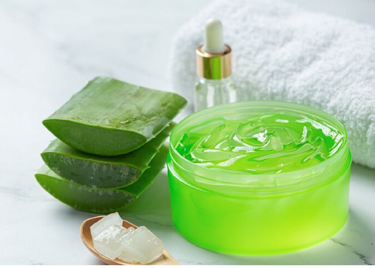 5 Manfaat Lidah Buaya Untuk Wajah Yang Wajib Kamu Ketahui, Simak Selengkapnya Hanya Disini ...