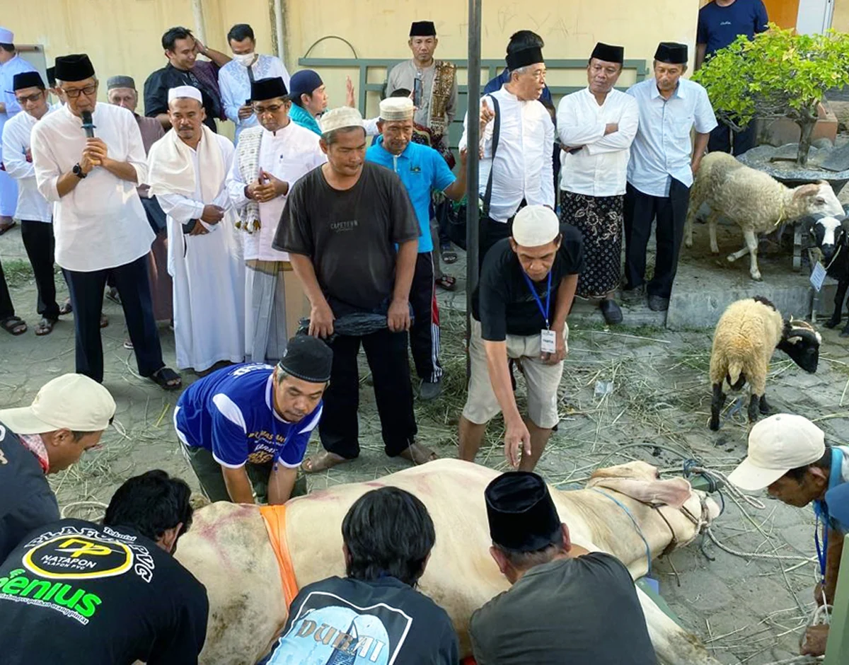 SMA Islam Al Azhar 5 Cirebon Kurban 9 Sapi dan 25 Kambing – Radar ...