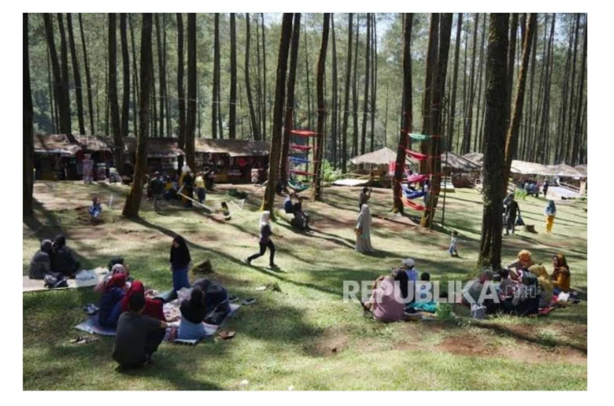 5 Destinasi Wisata Hutan Pinus di Kuningan : Wajib Kamu Kunjungi ...
