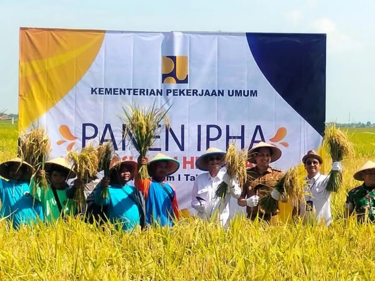 Bupati Indramayu dan Menteri PU Panen Raya di Lahan IPHA, Produksi Padi Naik hingga 20 Persen ...