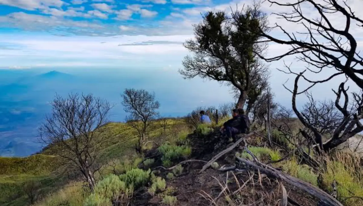 Lucu-Lucu, Nama Pos Pendakian Gunung Ciremai Jalur Sadarehe, Ada ...